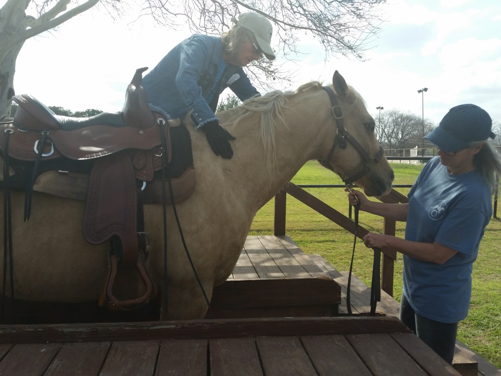 June Volunteer Training - The Saddle Light Center